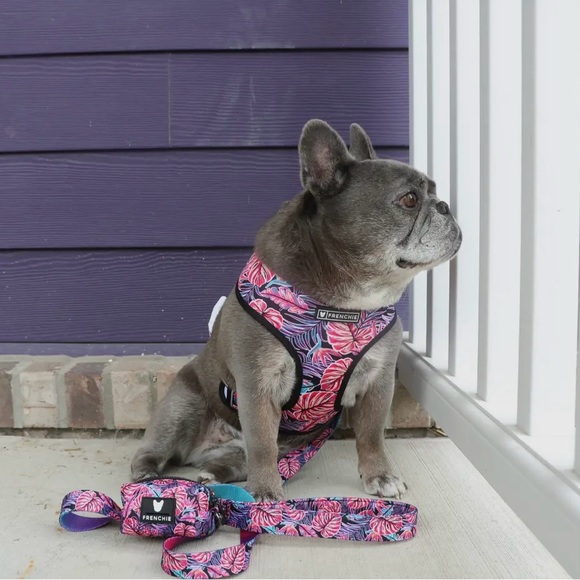 Frenchie | Dog | Frenchie Tropical Palms Dog Leash | Poshmark
